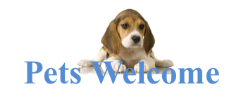 Holidays with pets in hotels in Siena